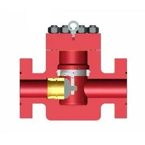 Dual Plate Check Valve Standard Check gate valves